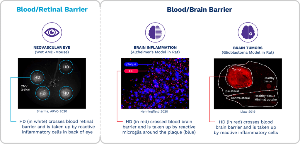 Technology – Ashvattha Therapeutics